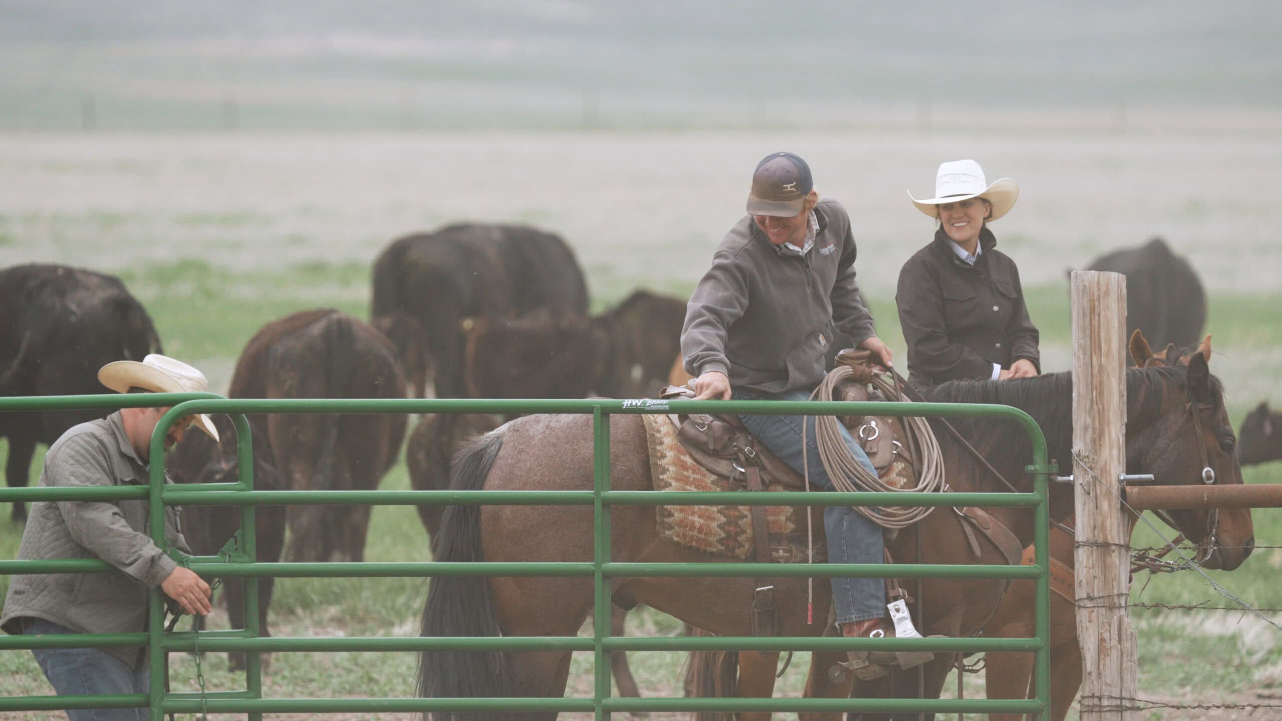 How to Value a Ranch: Key Factors That Impact Price